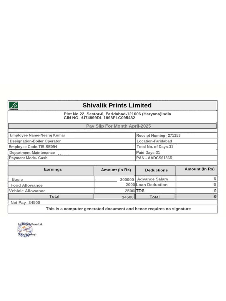 Payslip | PDF