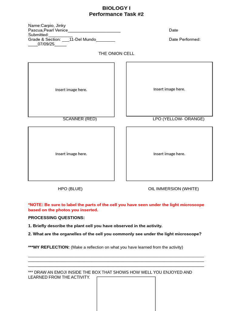 PT Plant Cell Template | PDF