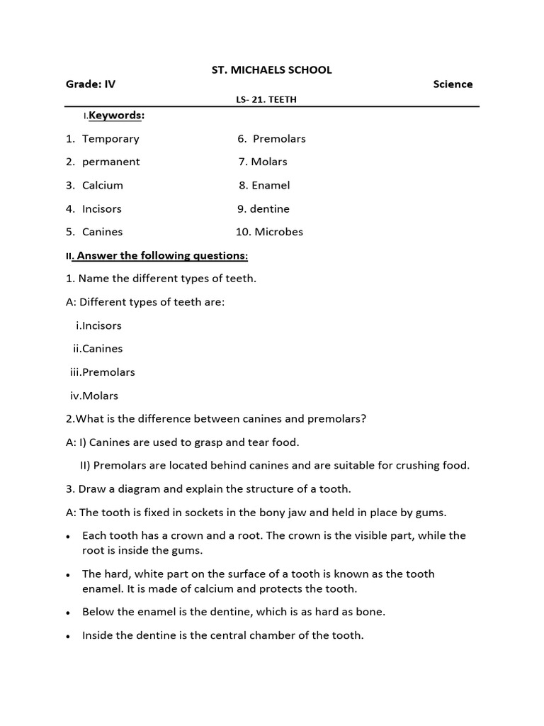 Structure and Types of Teeth for Class 4 | PDF | Tooth | Tooth Enamel