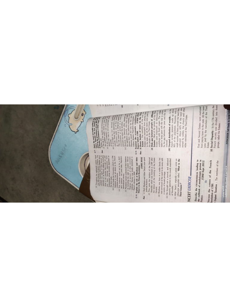 PFD Created 1744897205766 | PDF