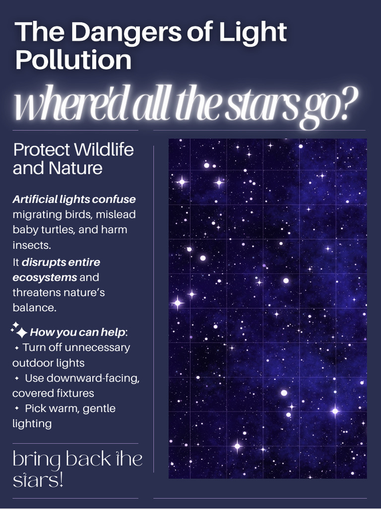 Poster - The Dangers of Light Pollution | PDF