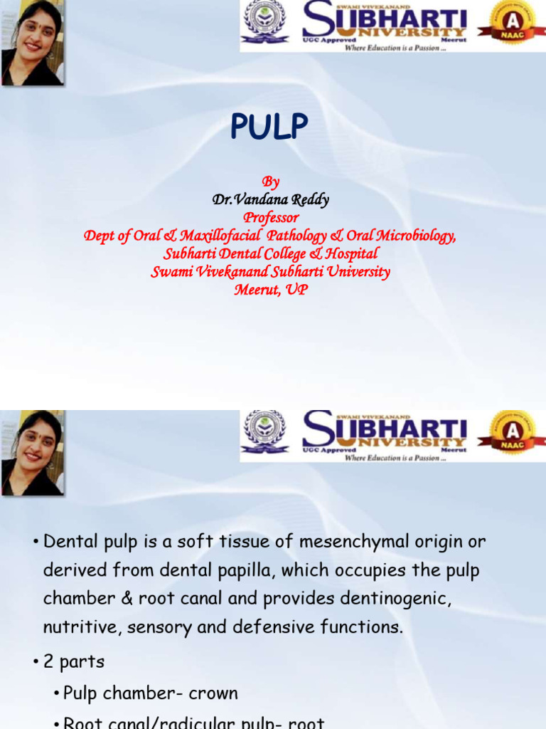 Pulp 20207291150420 | PDF | Anatomy | Medical Specialties