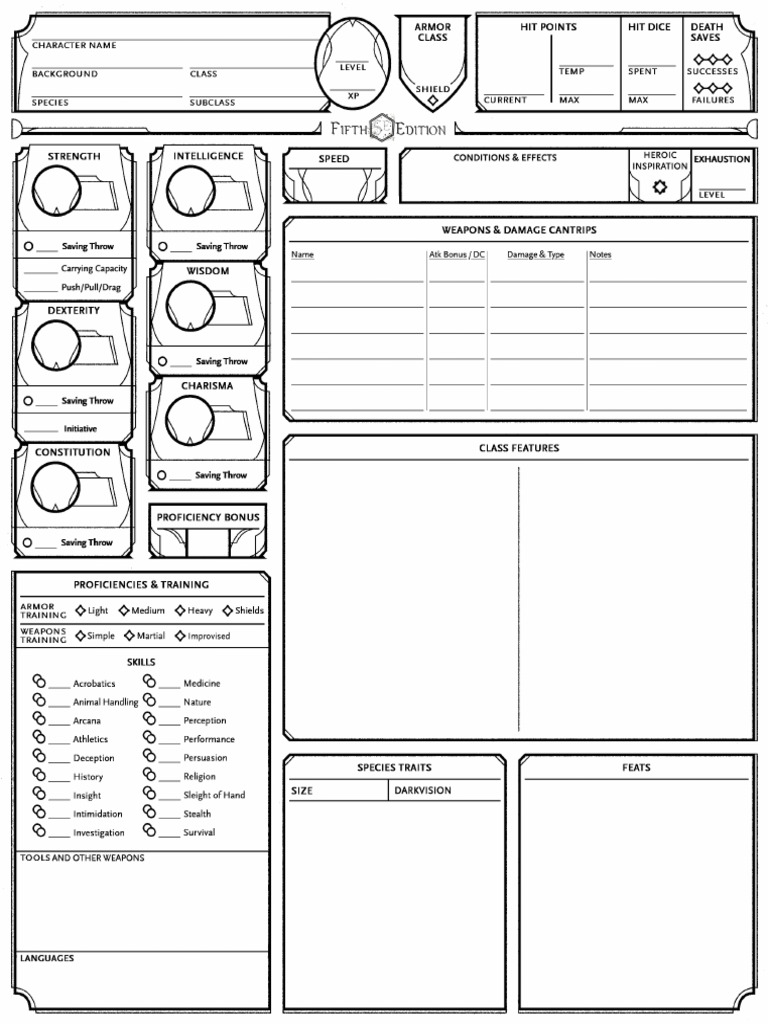 DLDM - 5e24 Character Sheet - Page1 - B | PDF