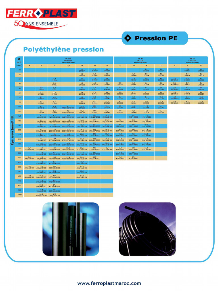 FT Pehd Ferroplast | PDF