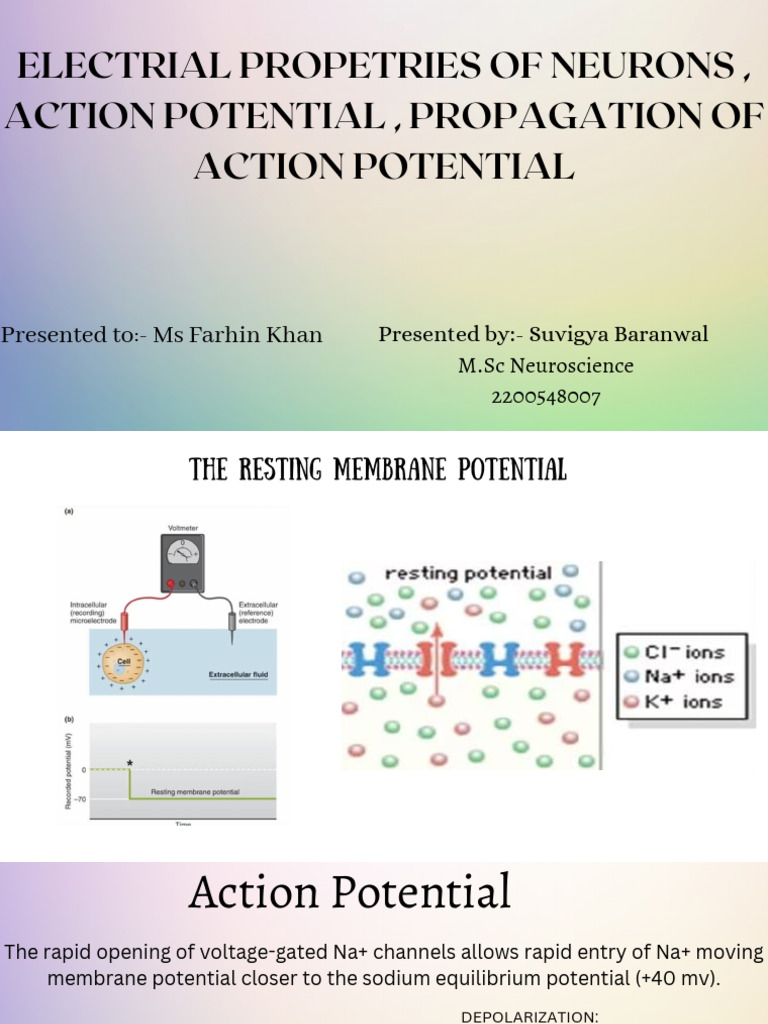 Electrical Property of Neurons, Action Potential, Propagation of Action ...