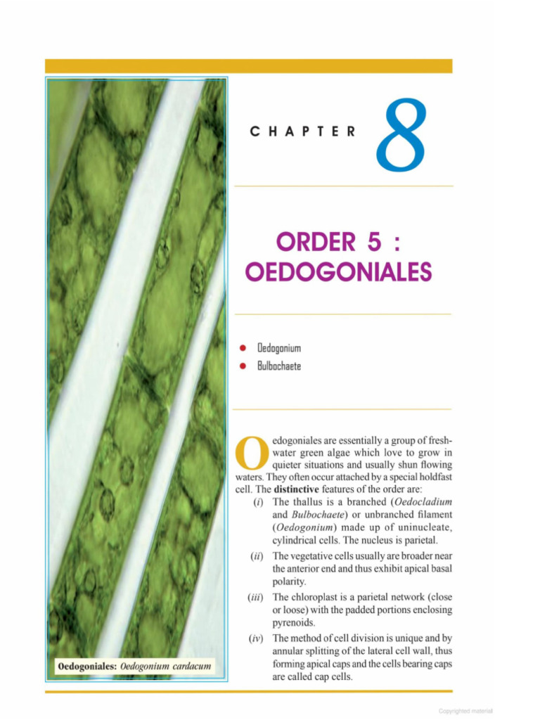 Algae Botany Sem 1 | PDF