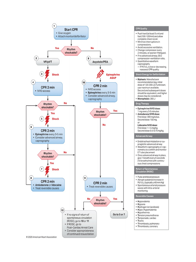 Acls Algorithms | PDF