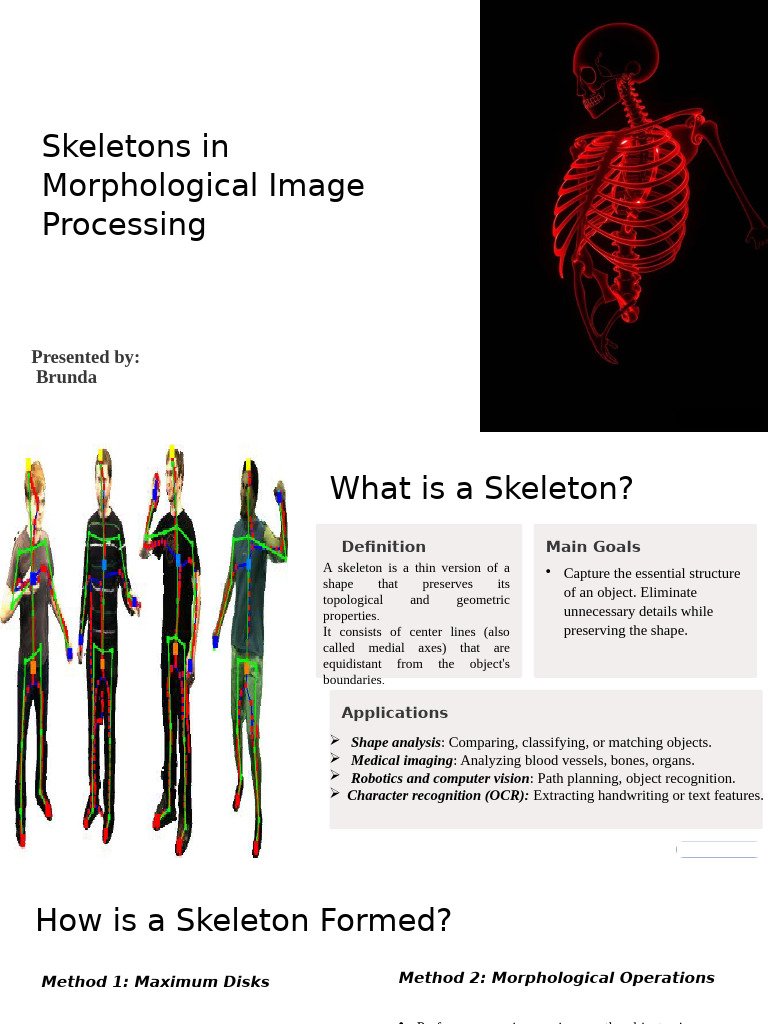 Skeletons in Morphological Image Processing | PDF | Shape | Multidimensional Signal Processing