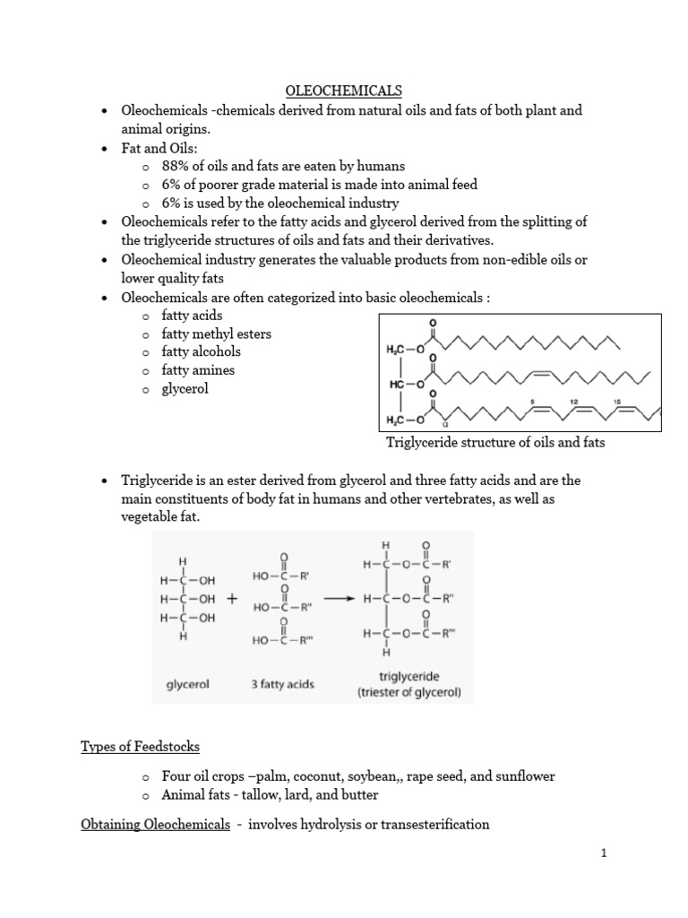 Oleochemicals: Production and Applications | PDF | Fatty Acid | Ester