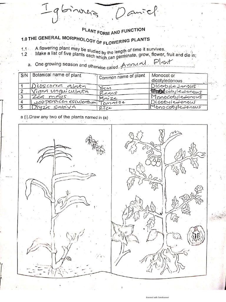 PBB Module - PDF - 1 | PDF