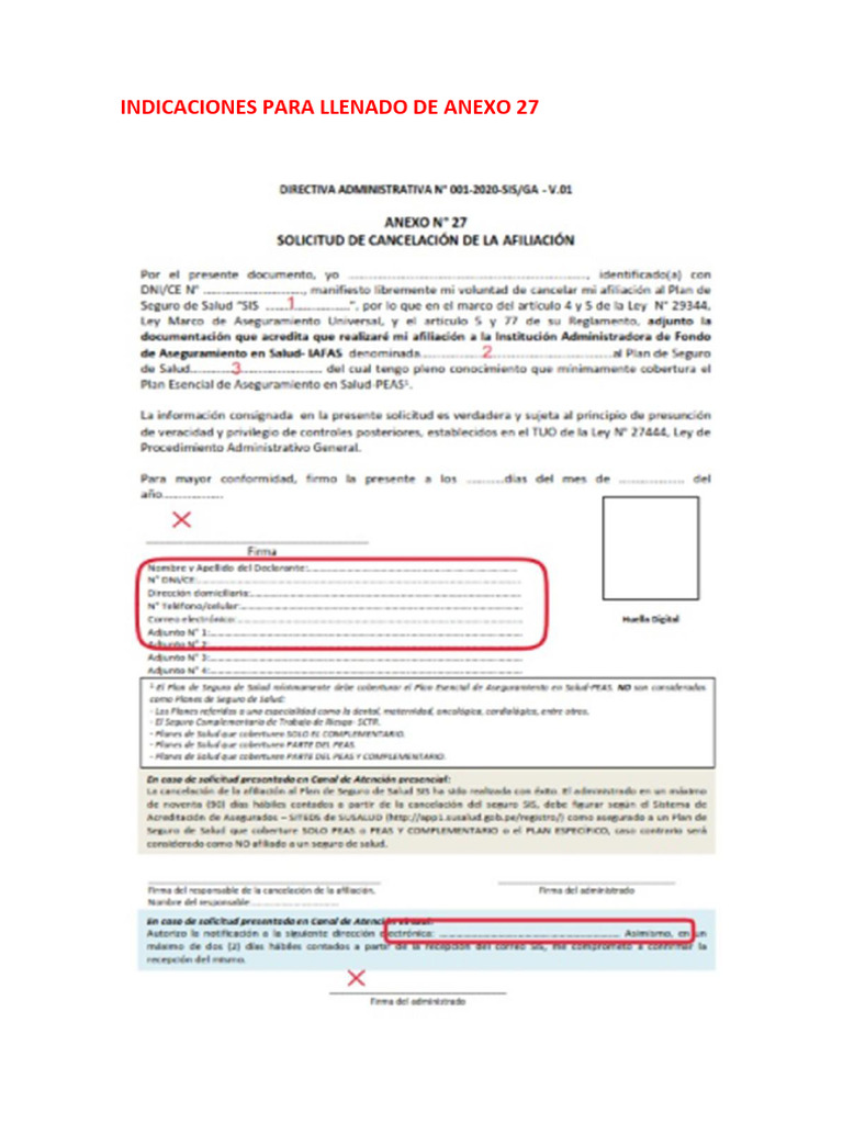 Instrucciones para Anexo 27 | PDF