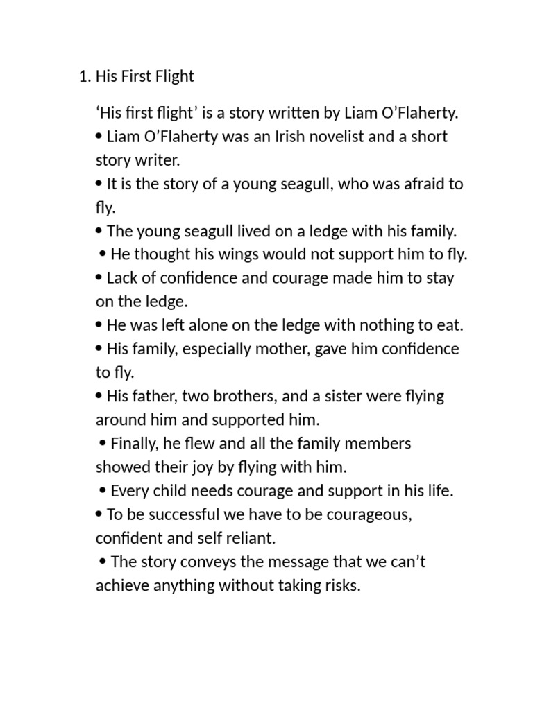 His First Flight | PDF