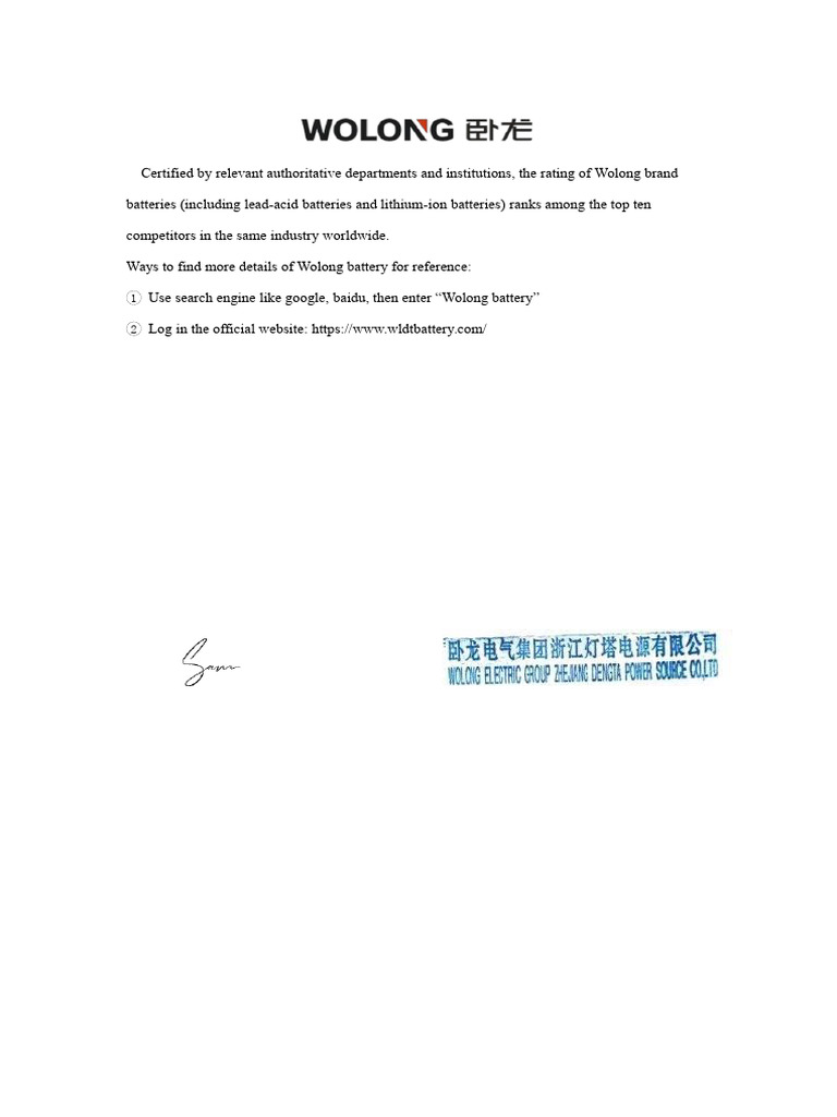 International Rating of Wolong Battery | PDF