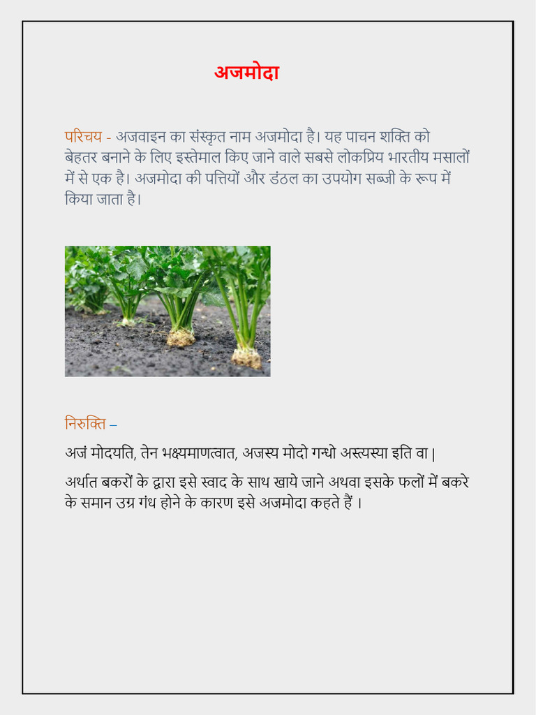Ajmoda Plant | PDF