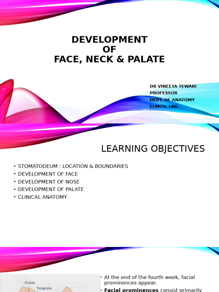 Development of Head, Neck & Face | PDF | Human Nose | Human Anatomy