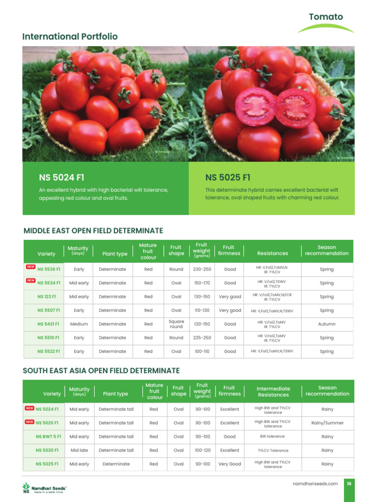 NS Catalogue 2024 3 | PDF | Organisms | Plants