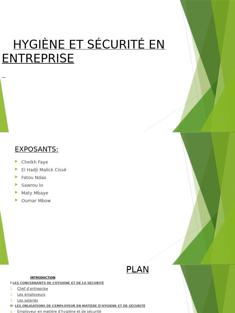 Hygiène et sécurité en entreprise : guide essentiel | PDF | Santé et ...