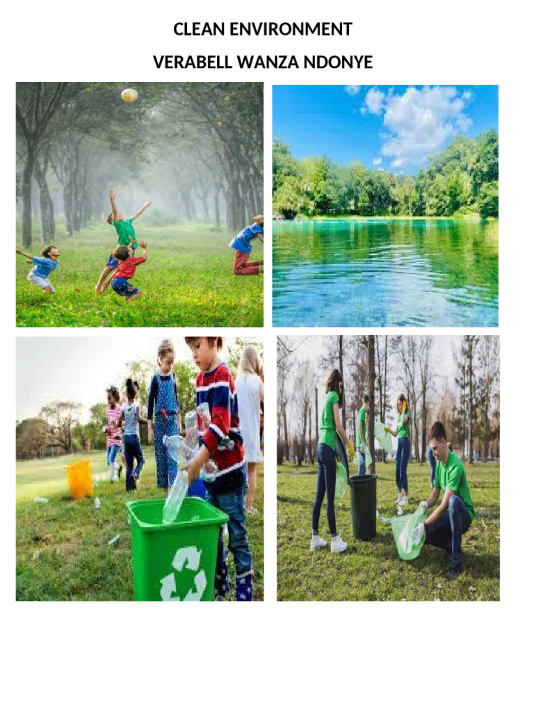 Clean Environment | PDF