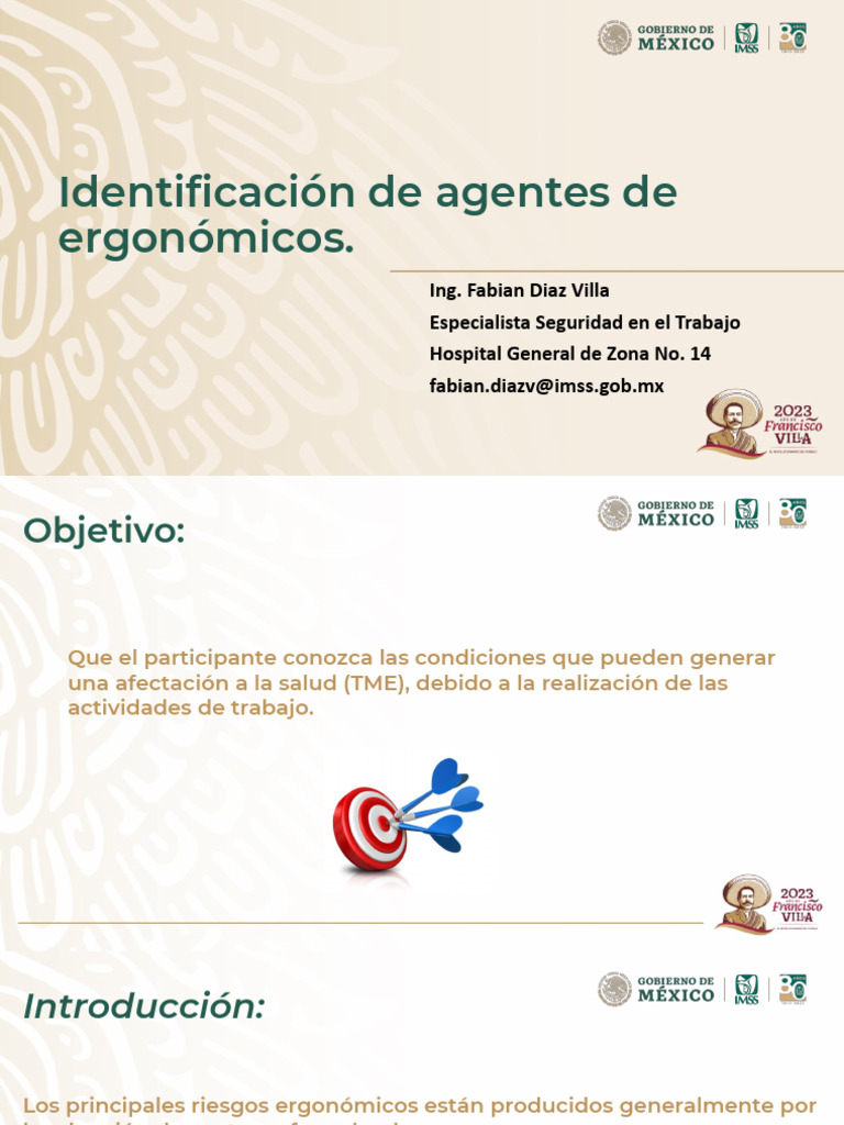 Identificación de Agentes Ergonómicos | PDF