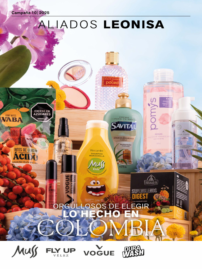 Campaa 2510 Aliados | PDF