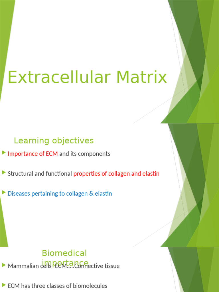 Lecture - Extracellular Matrix | PDF | Extracellular Matrix | Collagen