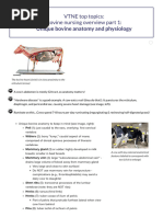 Cow Anatomy | PDF