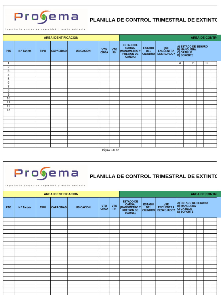 Planilla Estandard de Control de Extintores | PDF