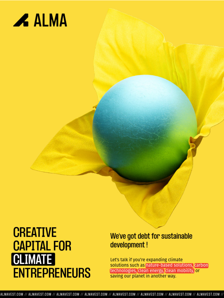 Debt Solutions for Climate Entrepreneurs | PDF | Loans | Economies