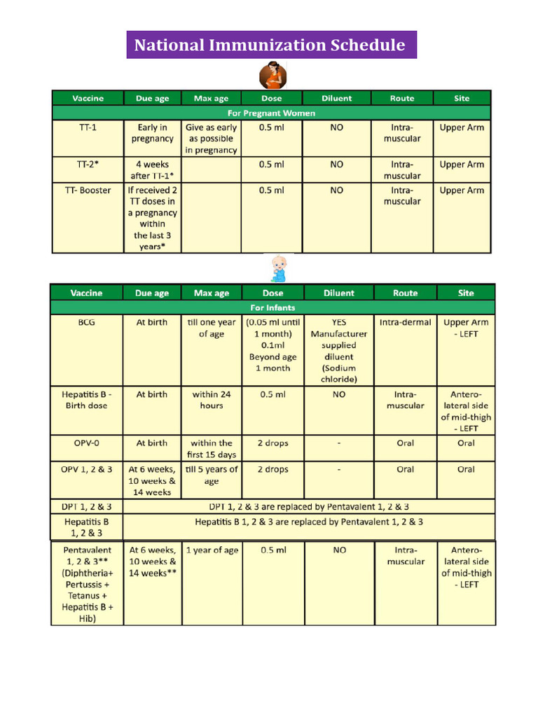 National Immunization Schedule Overview | PDF