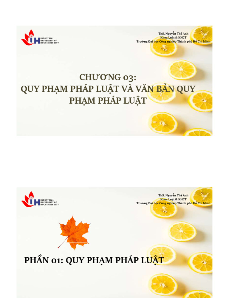 CHƯƠNG 03 - QUY PHẠM PHÁP LUẬT VÀ VBQPPL | PDF