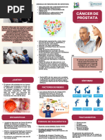 Tríptico de Cáncer de Próstata. | PDF | Cancer de prostata | Cáncer