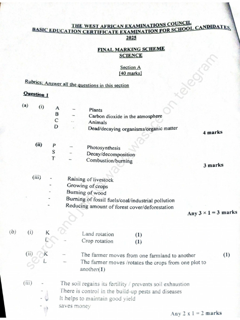Bece 2025 Science Marking Scheme | PDF