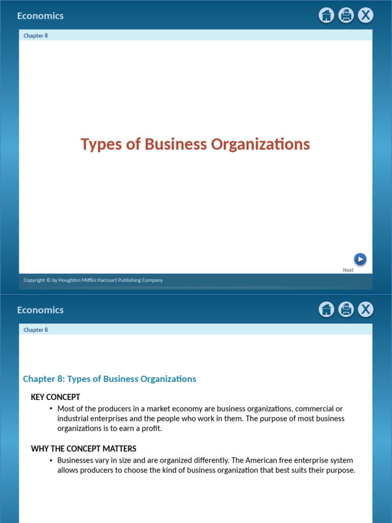 Types of Business Organizations Explained | PDF | Partnership | Limited ...