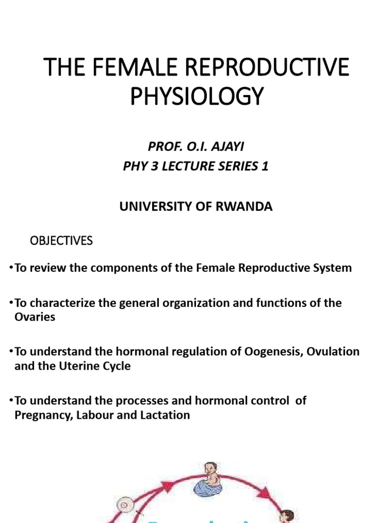 1.b.the Female Reproductive Physiology - PPTX 1 | PDF | Uterus | Ovary