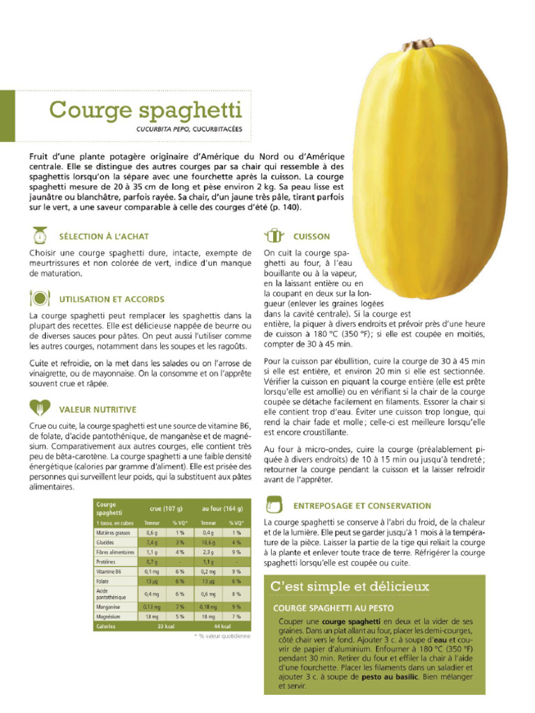 Courge Spaghetti | PDF