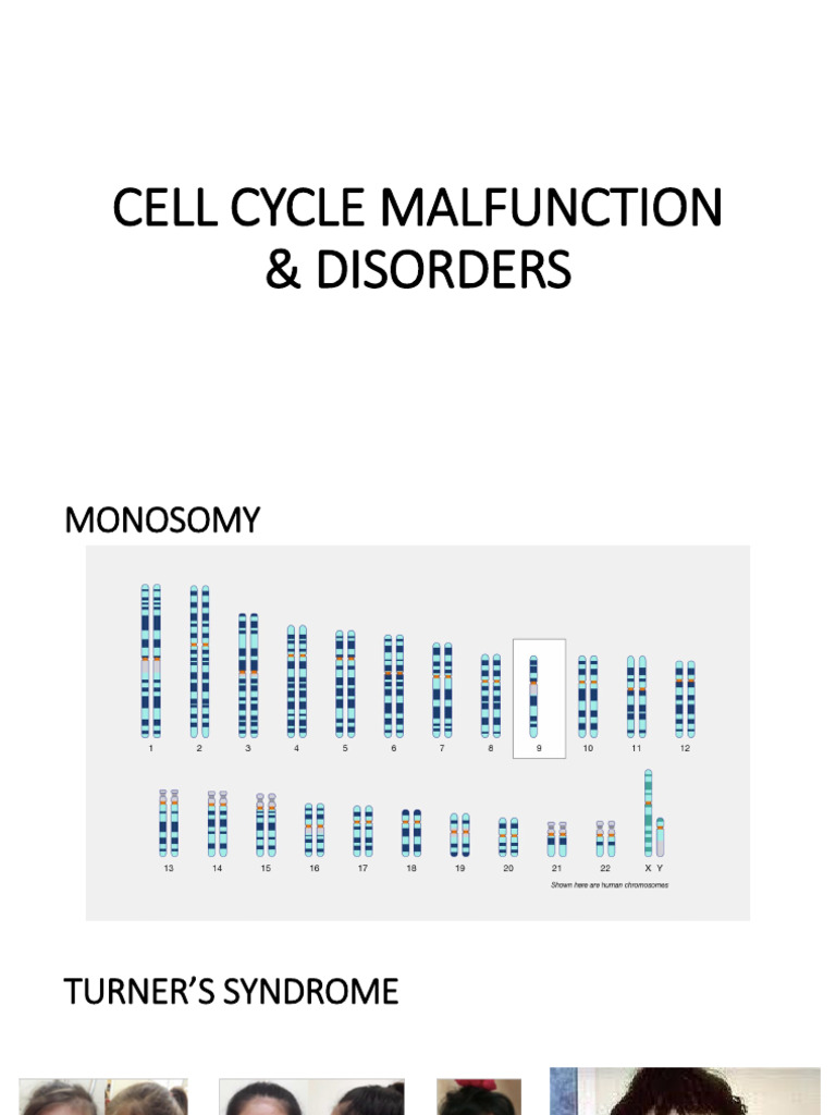 Cell Cycle Malfunction & Disorders | PDF