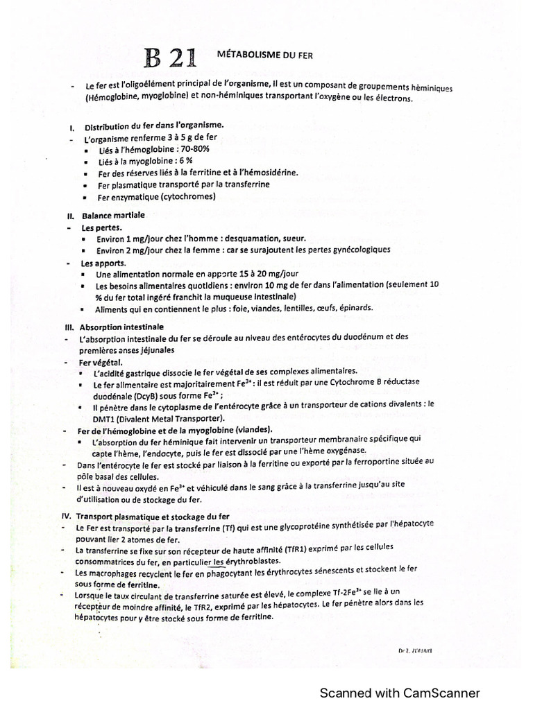 Metabolisme Du Fer | PDF