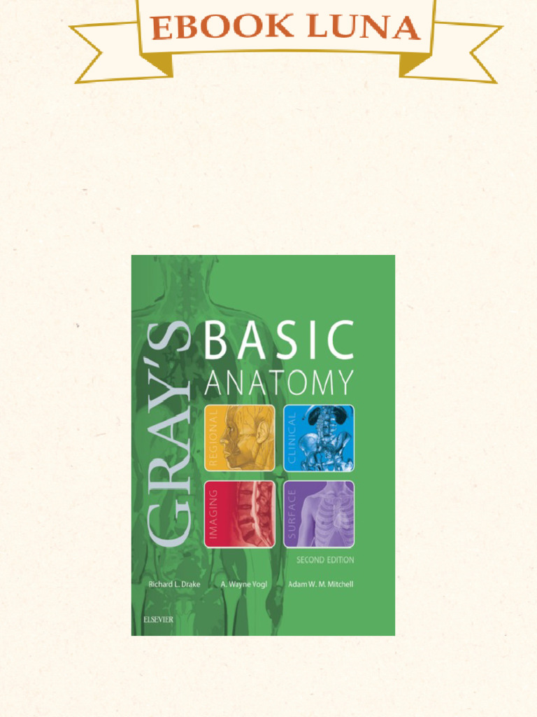 Gray's basic anatomy Second Edition Richard Lee Drake - eBook PDF download | PDF | Vertebral ...