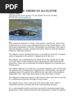 Average Weight of American Alligators | PDF | Pound (Mass) | Crocodile