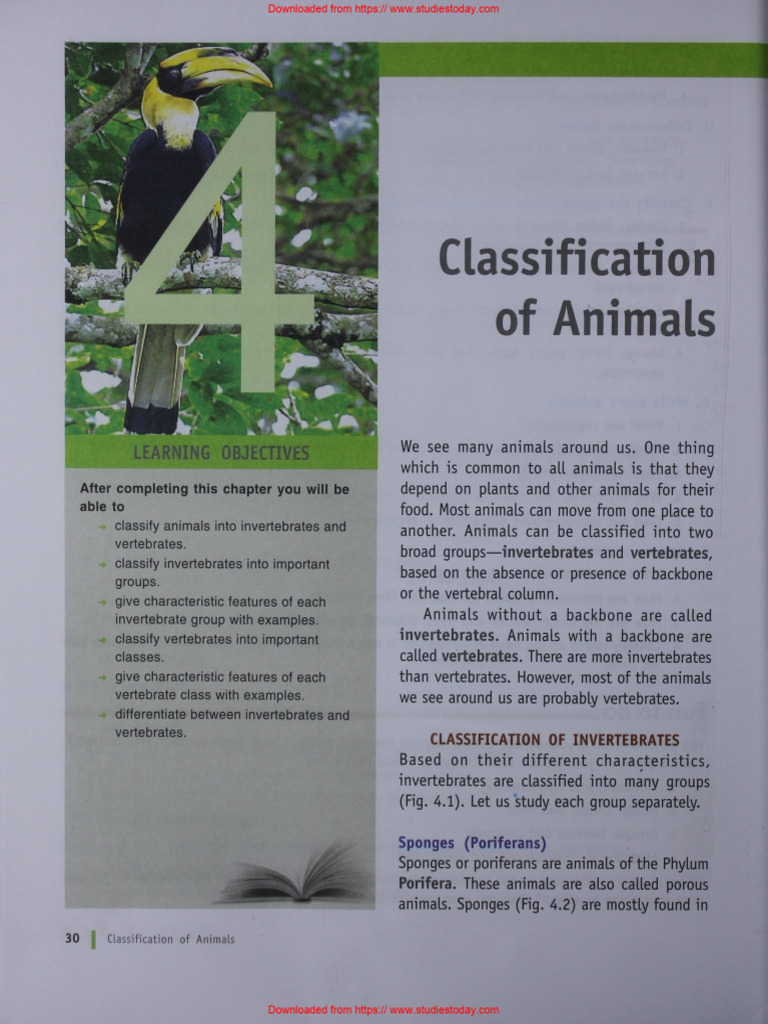 ICSE Class 6 Biology Chapter 4 Classification of Animals | PDF