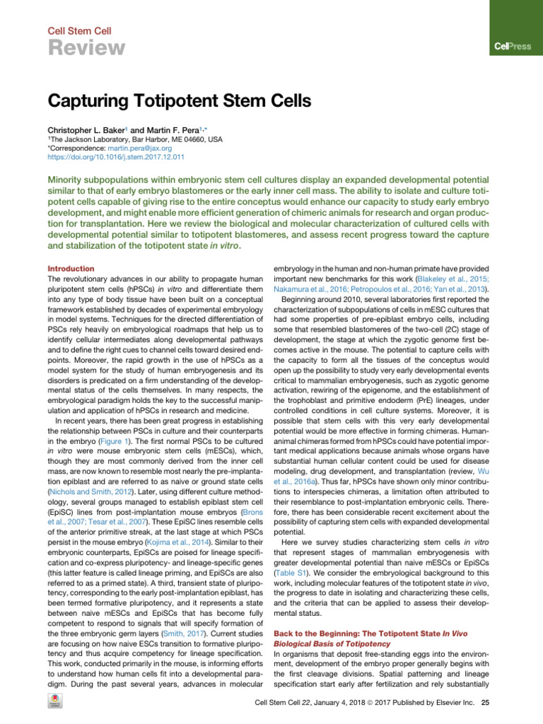 Capturing Totipotent Stem Cells | PDF | Cell Potency | Embryonic Stem Cell
