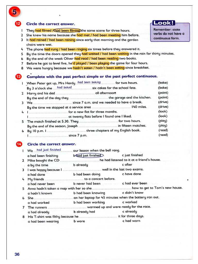 New Grammar Time Student Book 5-37 | PDF