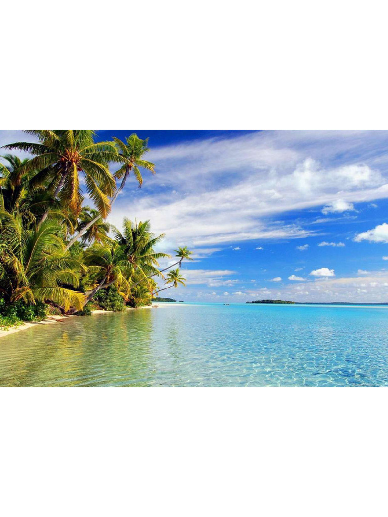 Ficha de Estudos 4_rotated_rotated | PDF