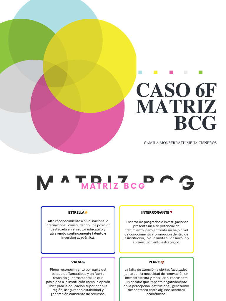Matriz BCG CASO 6F | PDF