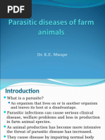 Paramphistomum Cervi: Morphology & Control | PDF