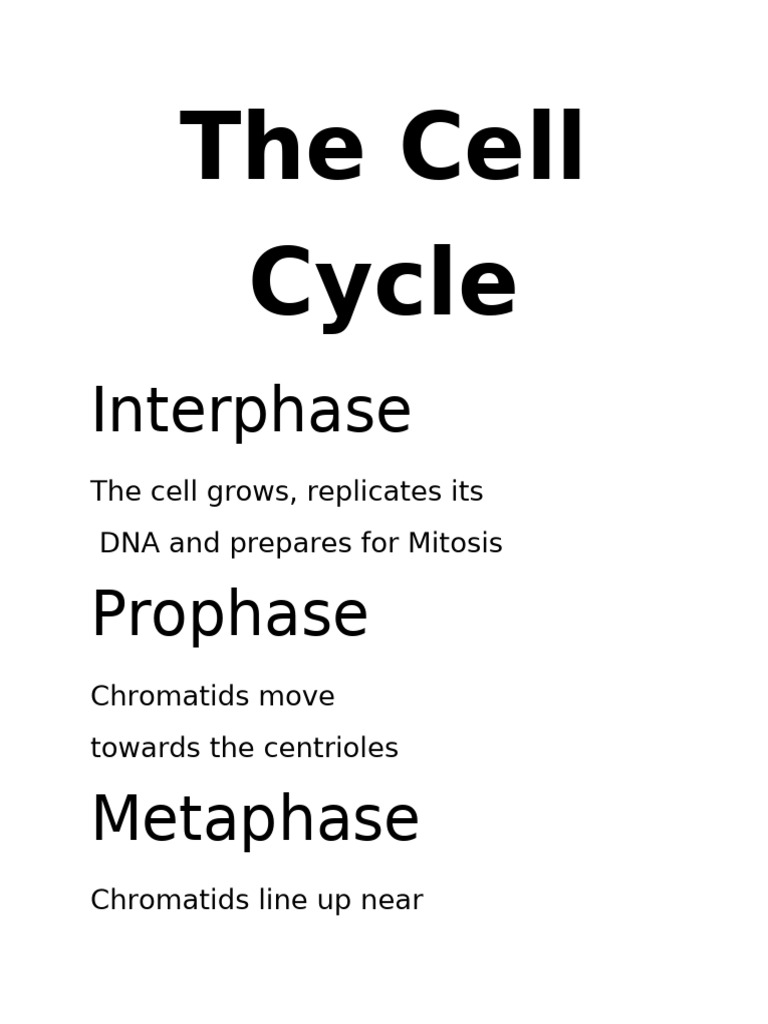 The Cell Cycle | PDF
