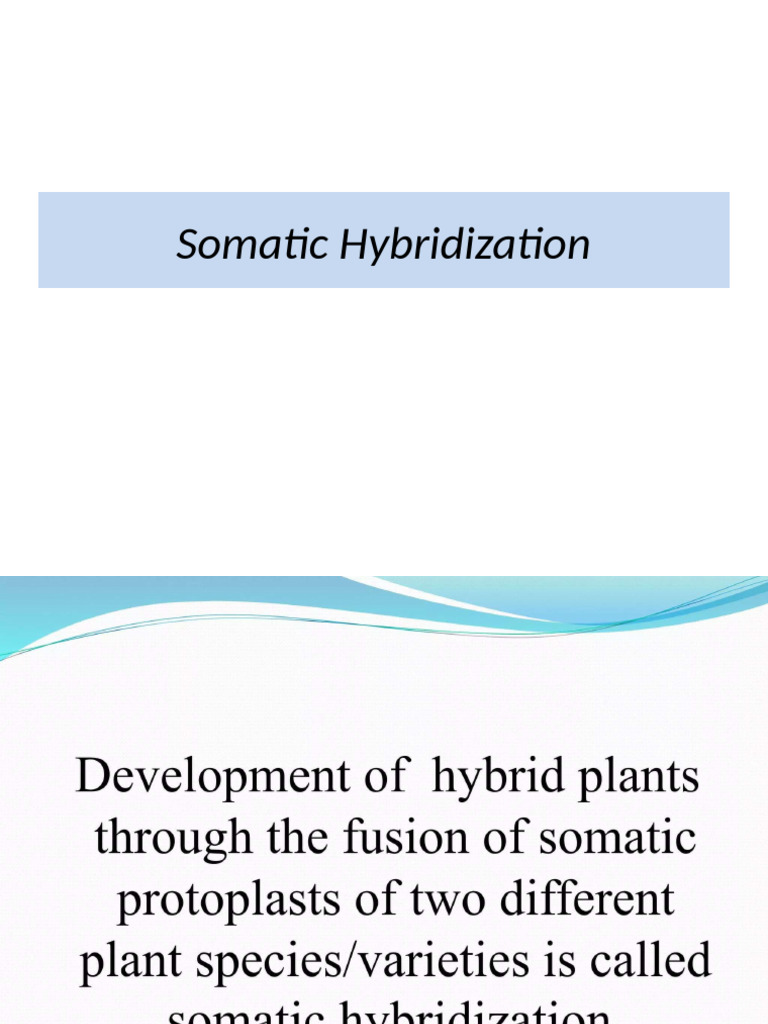 Somatic Hybridization | PDF