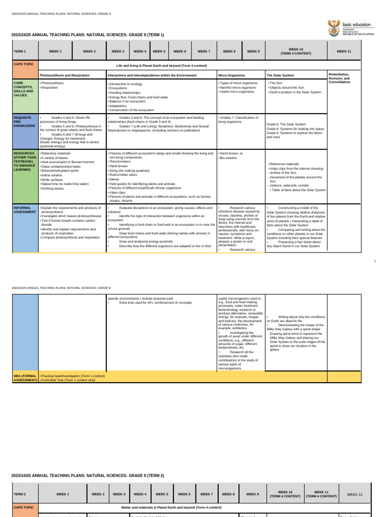 Grade 8 Natural Science ATP 2025 | PDF | Chemical Elements | Matter