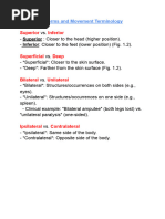 Mnemonics for Skeleton & Muscles | PDF | Human Leg | Foot