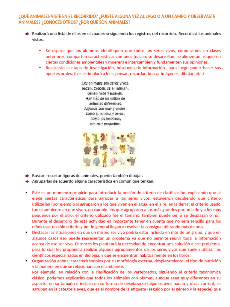 Animales - Texto Informativo. | PDF